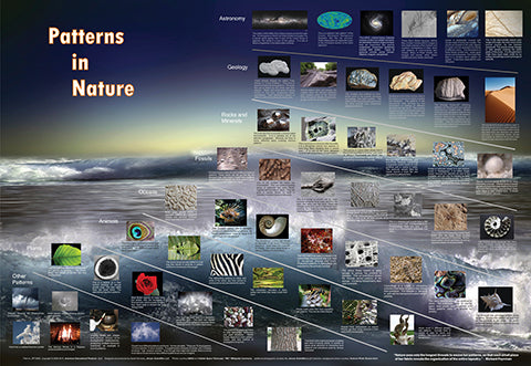 Patterns in Nature - Laminated Poster – Southern Cross Educational
