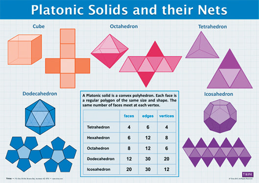 Platonic Solid Net
