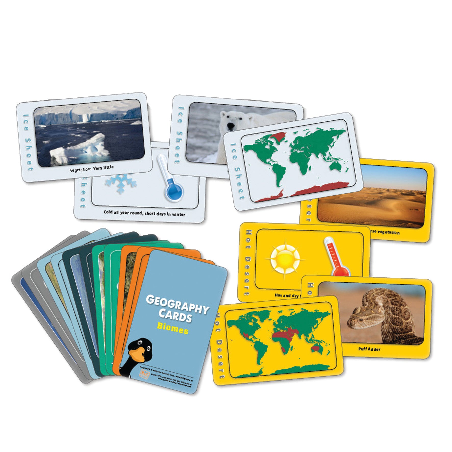 World Biomes - Card Game – Southern Cross Educational