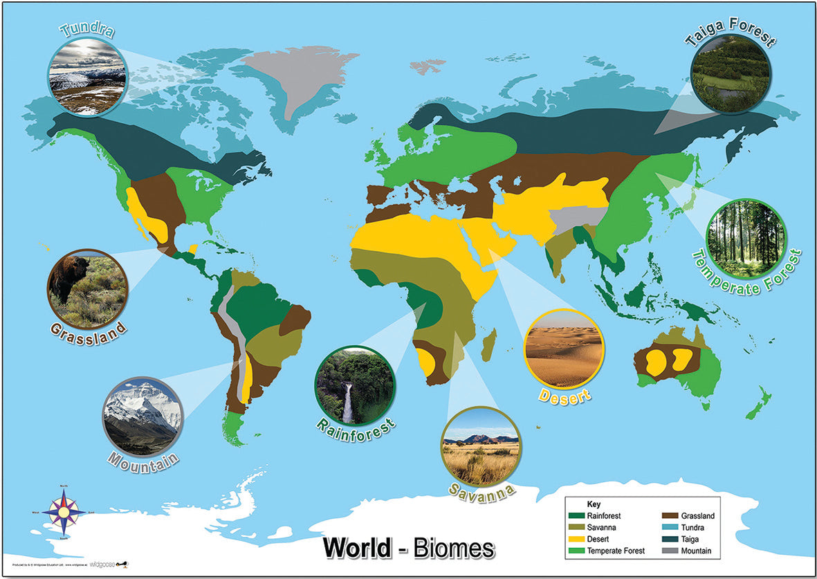 World Concept Map - Biomes – Southern Cross Educational